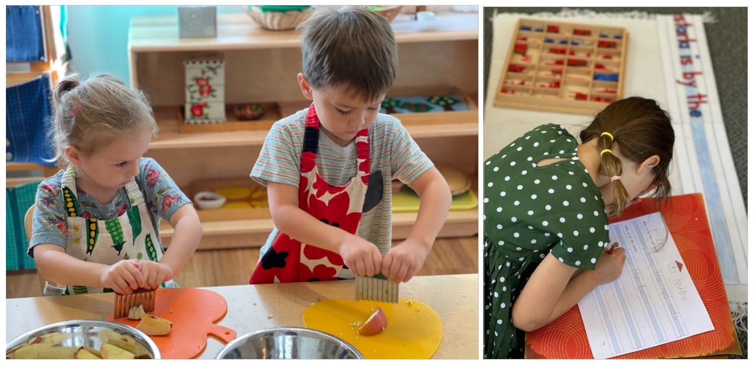From Practical Life to Language | My Own Montessori